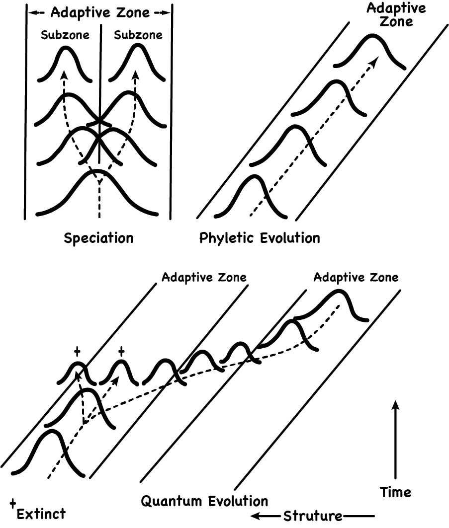 res01 – 鸟类研究简介